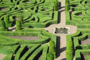 The Art of Topiary: Sculpting Nature’s Masterpieces – Garden Guide