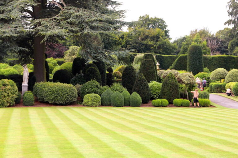 The Art of Topiary: Sculpting Nature’s Masterpieces – Garden Guide