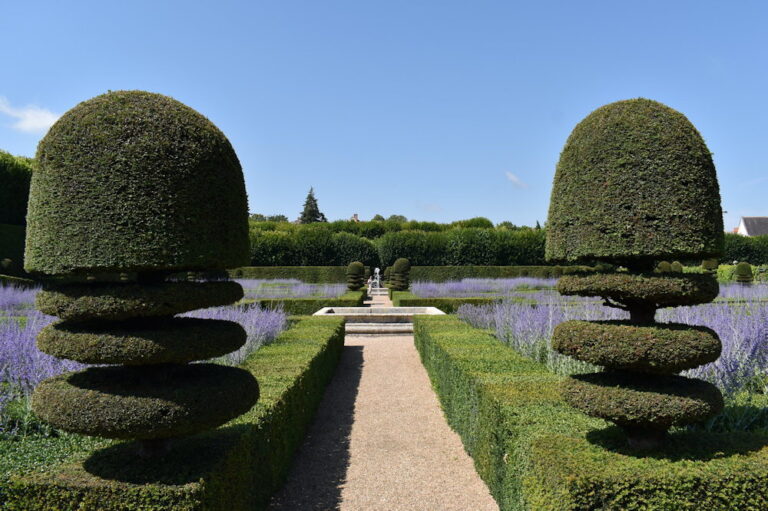 The Art of Topiary: Sculpting Nature’s Masterpieces – Garden Guide