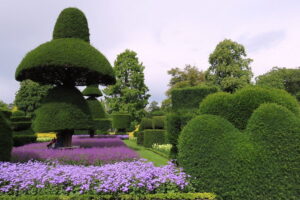 The Art of Topiary: Sculpting Nature’s Masterpieces – Garden Guide