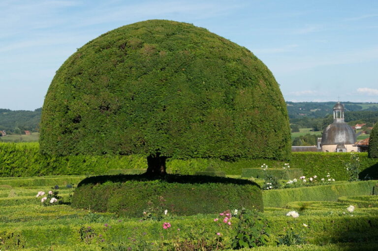 The Art of Topiary: Sculpting Nature’s Masterpieces – Garden Guide