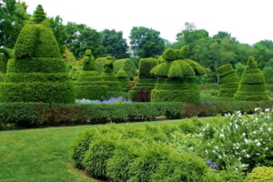 The Art of Topiary: Sculpting Nature’s Masterpieces – Garden Guide
