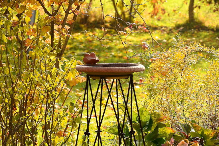 Autumn Leaf Cleanup: What to Rake and How to Make the Most of Fallen ...