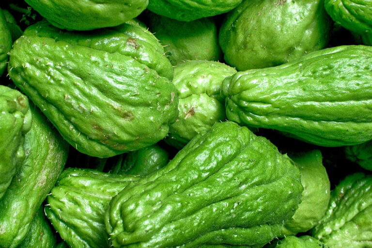 The Versatile Chayote: Discovering the Many Faces of this Remarkable Vegetable-Fruit – Garden Guide