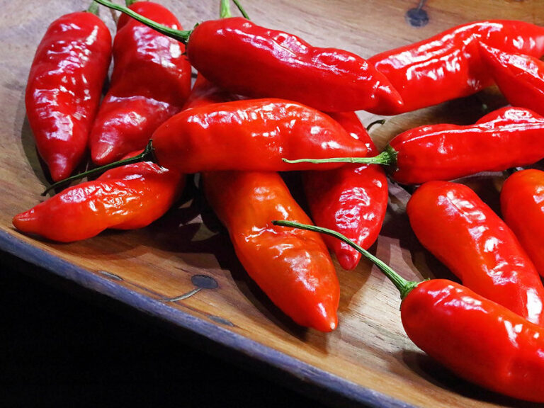 Spice Up Your Garden: 10 Fascinating Facts About Chili Peppers Every Gardener Should Know ...