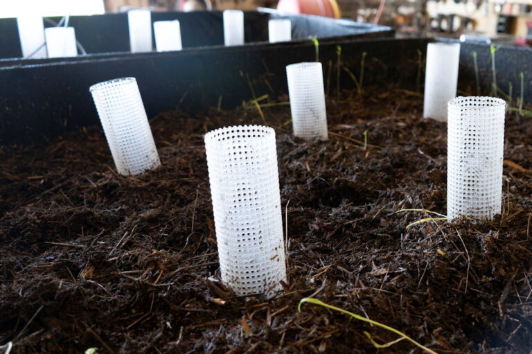 Composting 2.0: New Techniques for a Greener Garden – Garden Guide