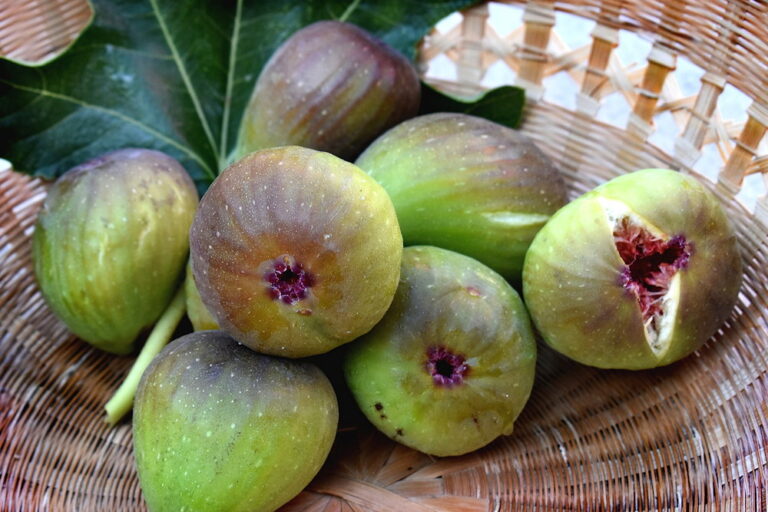 Crafting Candied Figs at Home: A Delicious DIY Recipe – Garden Guide