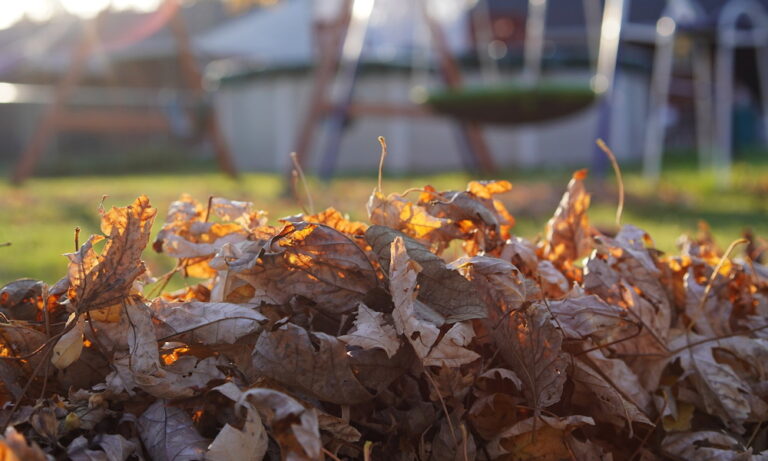 5 Eco-Friendly Ways to Use Fallen Leaves in Your Garden – Garden Guide