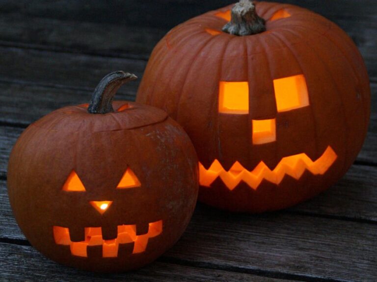 From Pumpkin to Jack-o’-Lantern: A Step-by-Step Carving Tutorial ...