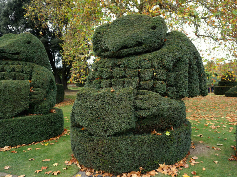 The Art of Topiary: Sculpting Nature’s Masterpieces – Garden Guide