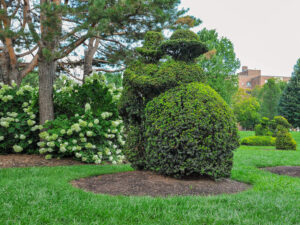 The Art of Topiary: Sculpting Nature’s Masterpieces – Garden Guide