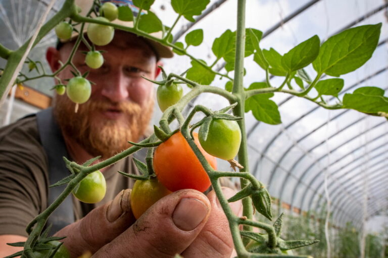 Gardening with AI: The Future of Smart Gardens – Garden Guide