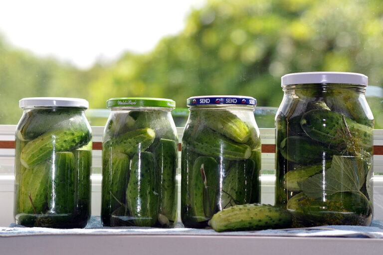 Maximize Your Summer Harvest: Expert Tips for Picking and Storing ...