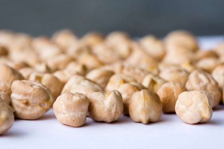 The Mighty Chickpea: A Gardener’s Guide to Cultivation and Culinary ...