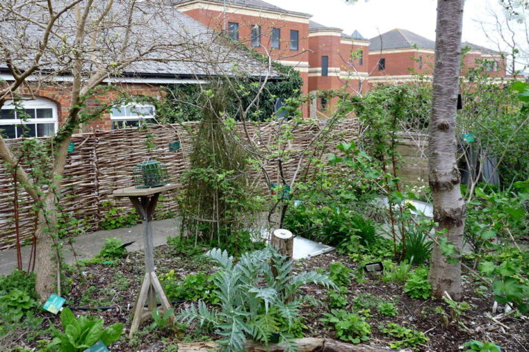 Cultivating Harmony: An Introduction to Permaculture for Home Gardeners ...