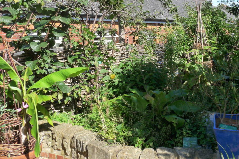 Cultivating Harmony: An Introduction to Permaculture for Home Gardeners ...