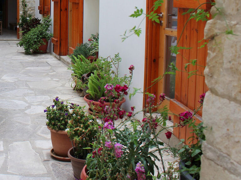 Summer Survival Guide: 9 Tips to Keep Your Potted Plants Happy and ...