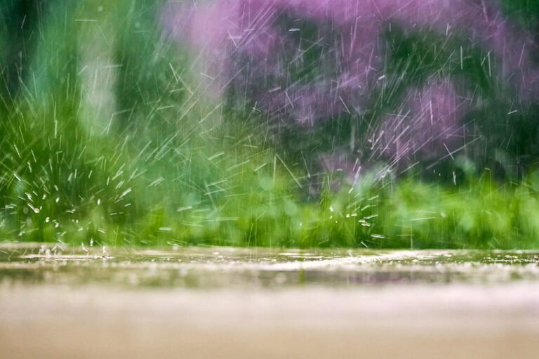 Capturing Nature’s Bounty: Exploring Rainwater Collection Solutions to ...