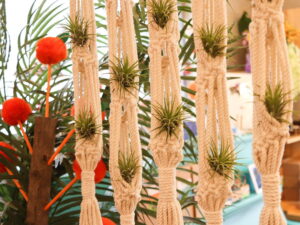 10 Resilient Houseplants That Thrive on Neglect – Garden Guide