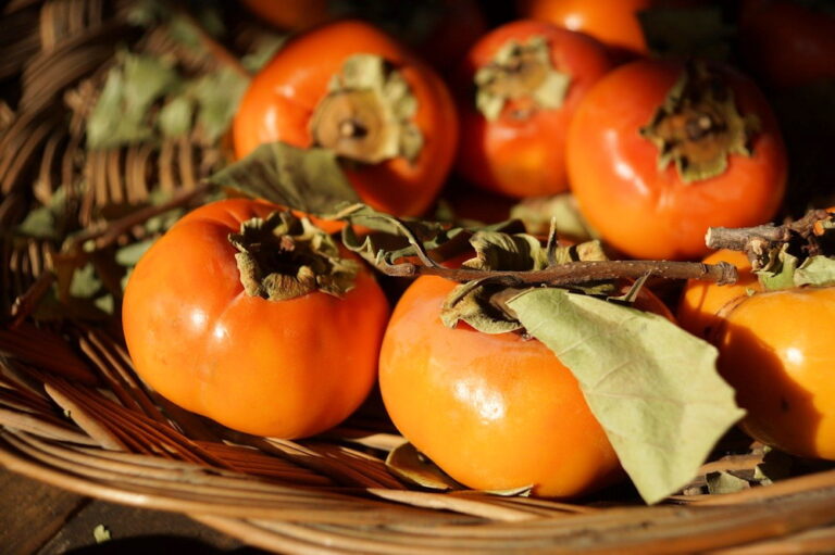 Sweet and Succulent Persimmons: A Guide to Harvesting and Enjoying ...