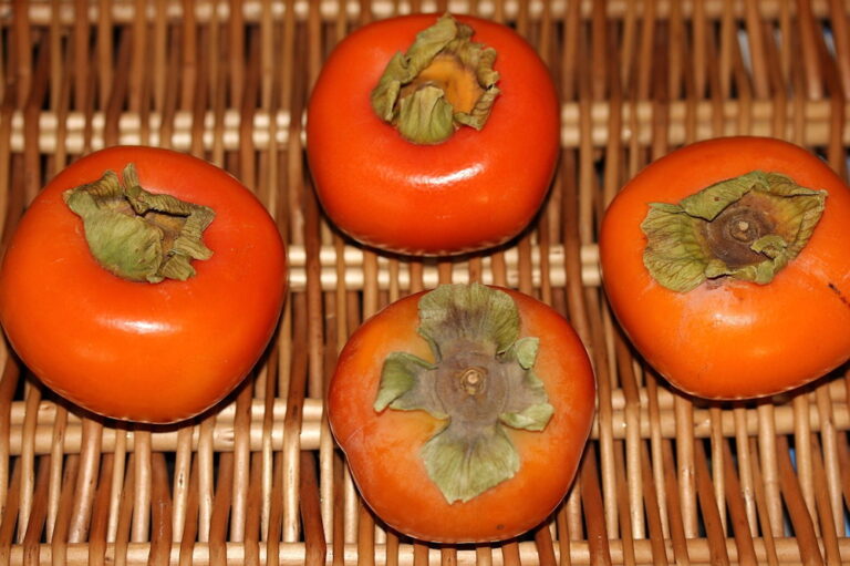 Sweet and Succulent Persimmons: A Guide to Harvesting and Enjoying ...