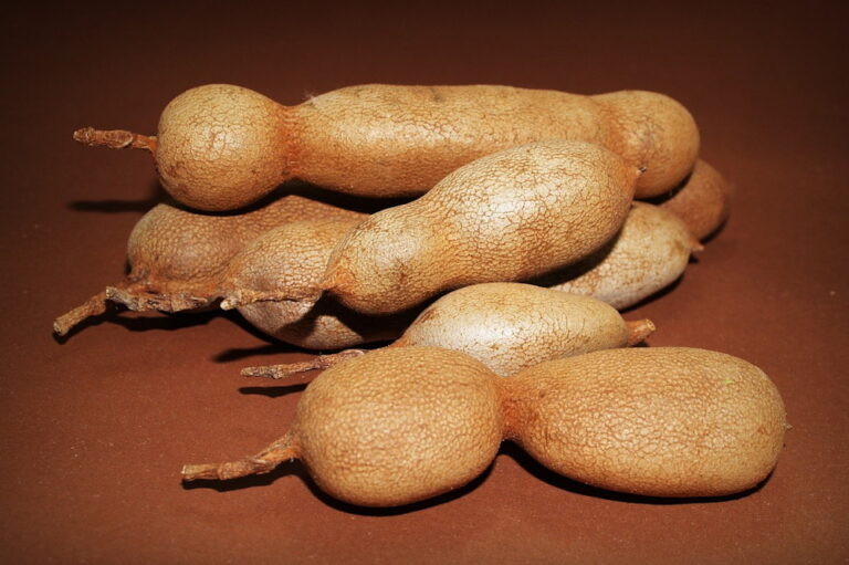 Tamarind: Nature’s Sweet and Tangy Treasure – Garden Guide