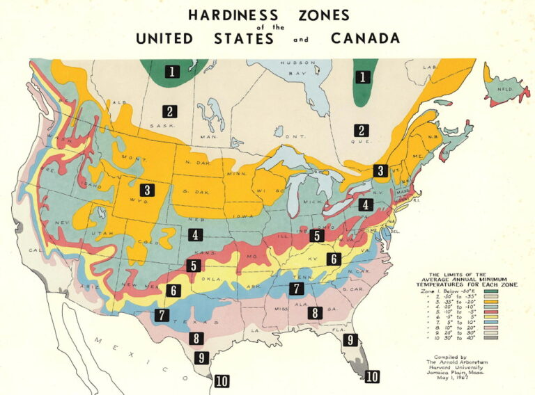 Understanding USDA Zones: What They Mean and Why Significant Changes ...