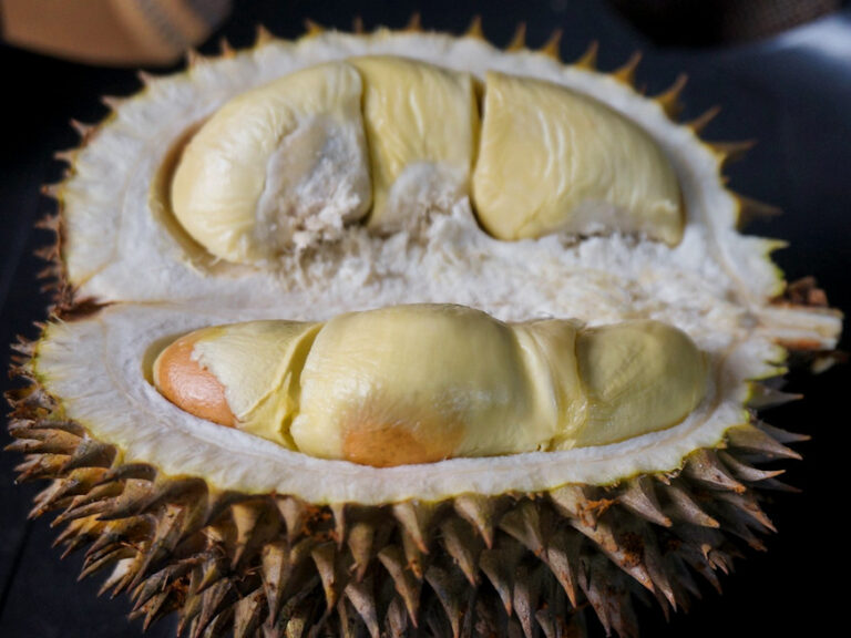 Unveiling Durian: Exploring the Exotic Fruit with its Infamous Odor ...