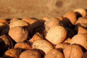 Walnut Wisdom: A Guide to Harvesting and Preserving Nature’s Bounty ...