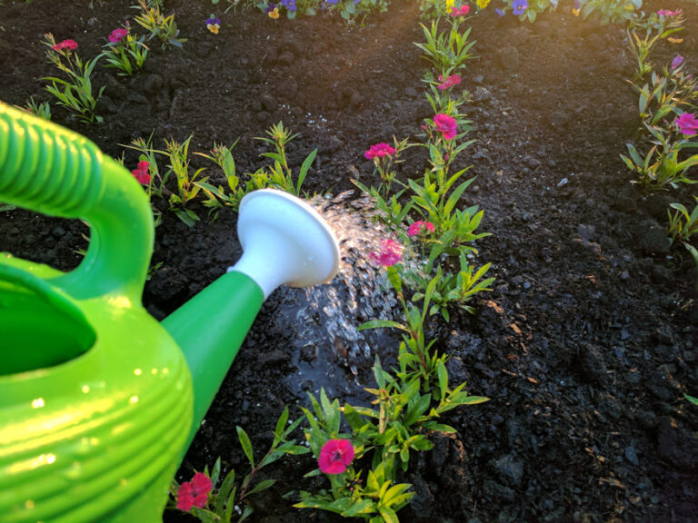 Growing a Lush Garden: Best Practices for Watering and Irrigation for ...